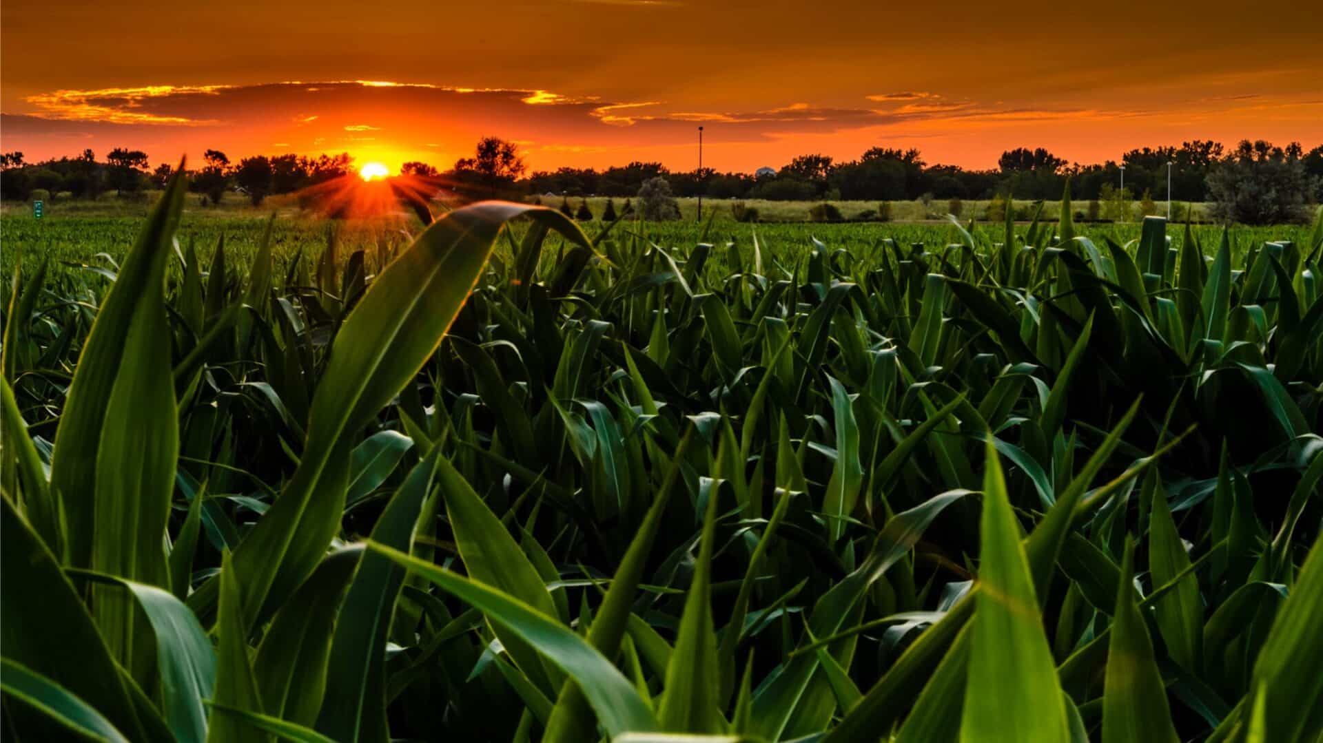 Generosity - Vinje Lutheran Church